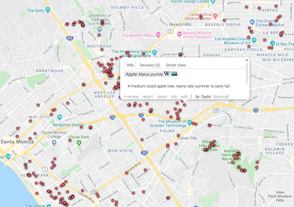 How to Find Food Using Google Maps